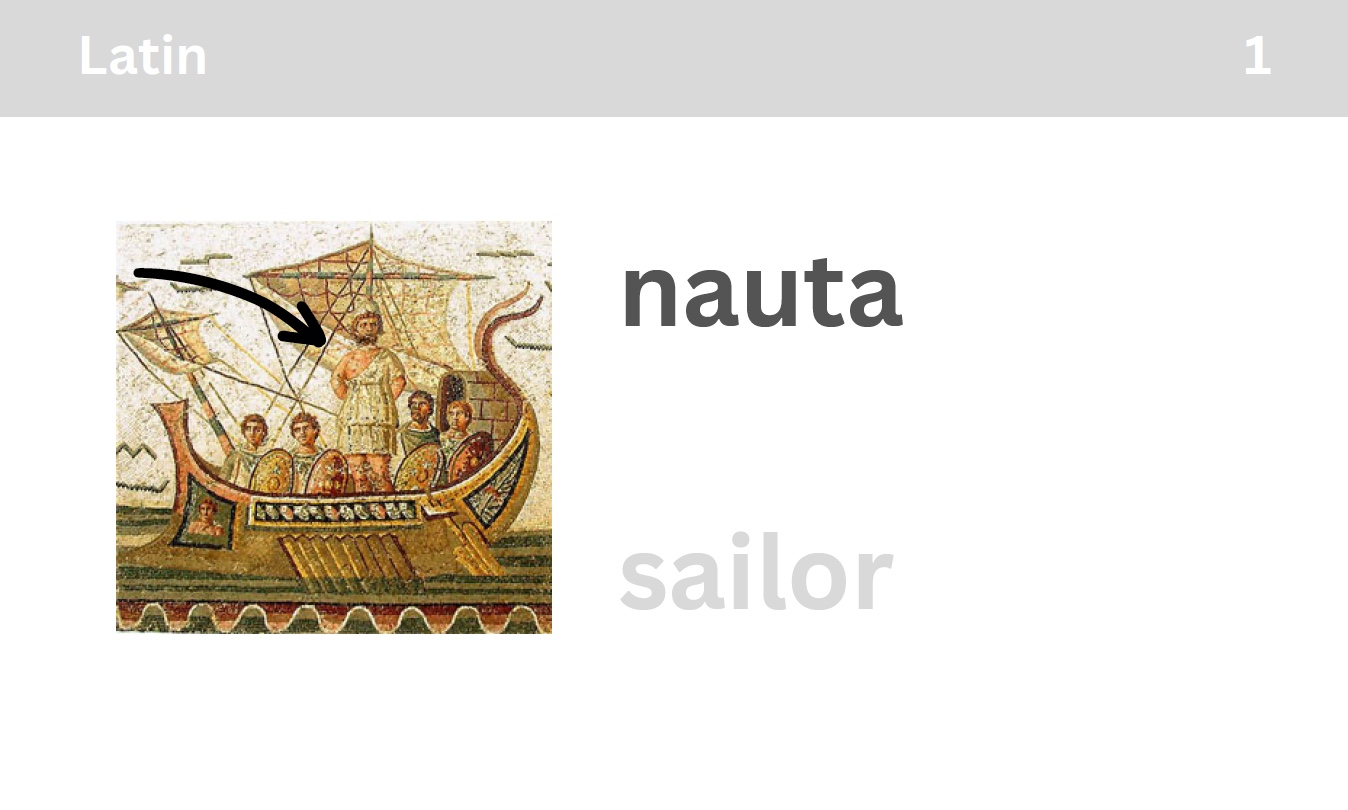 Free Latin Flashcards Printable – Lauren Ducommun