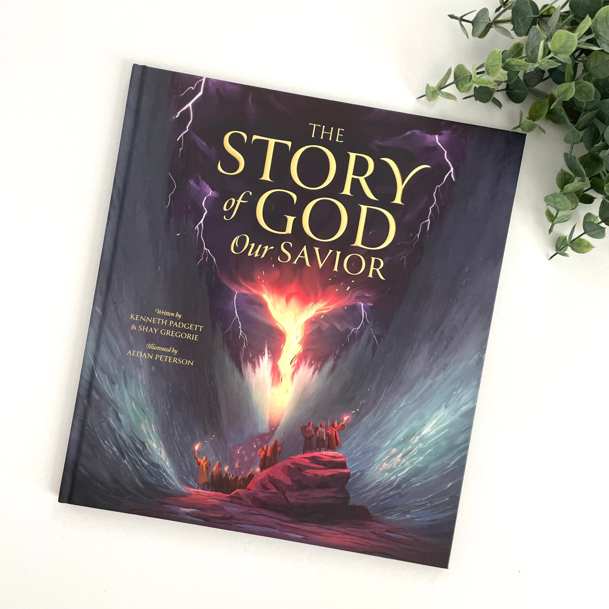 The Story of God Our Savior by Kenneth Padgett & Shay Gregorie – Lauren ...