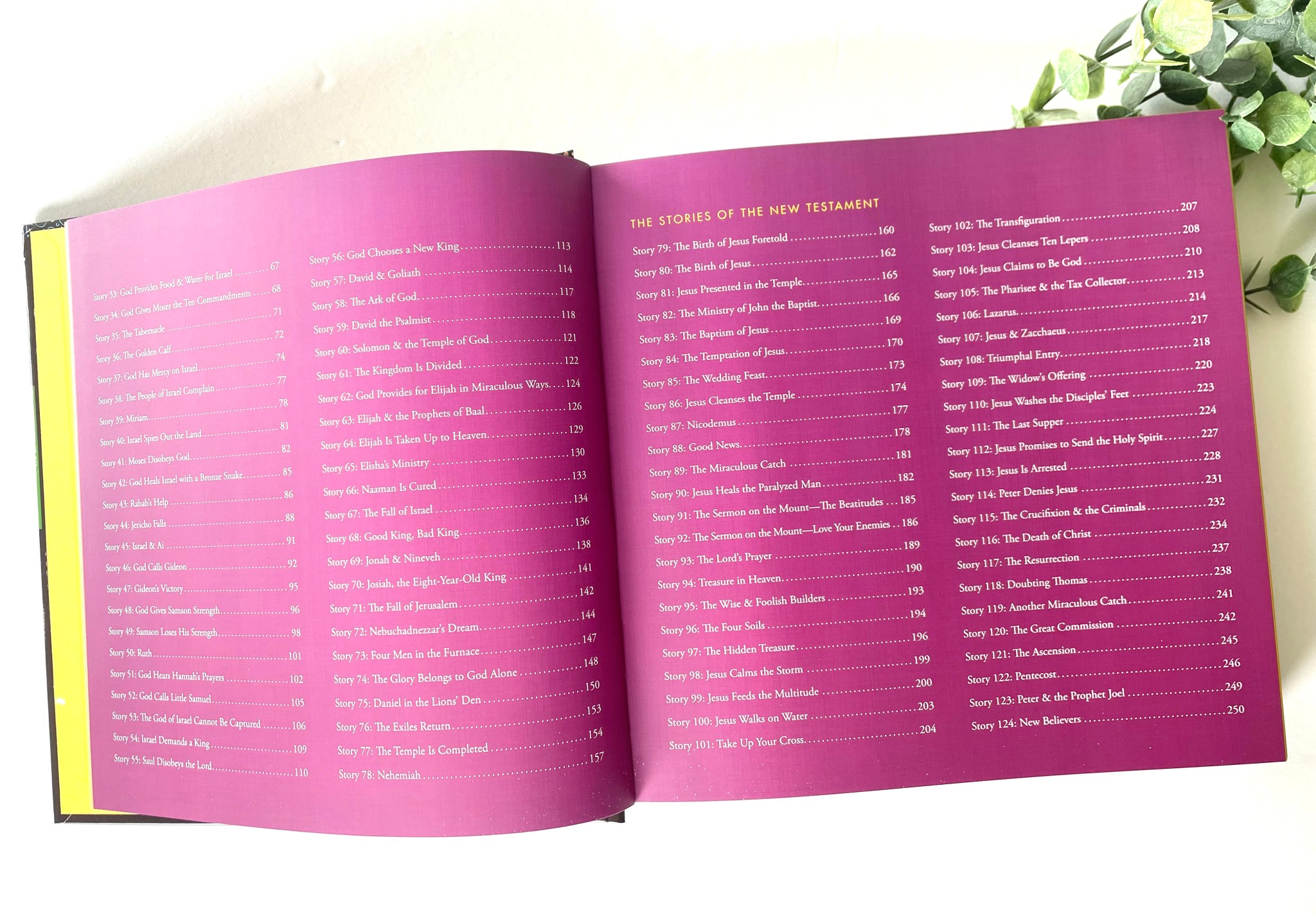 Children’s Storybook Bible Comparison – Lauren Ducommun