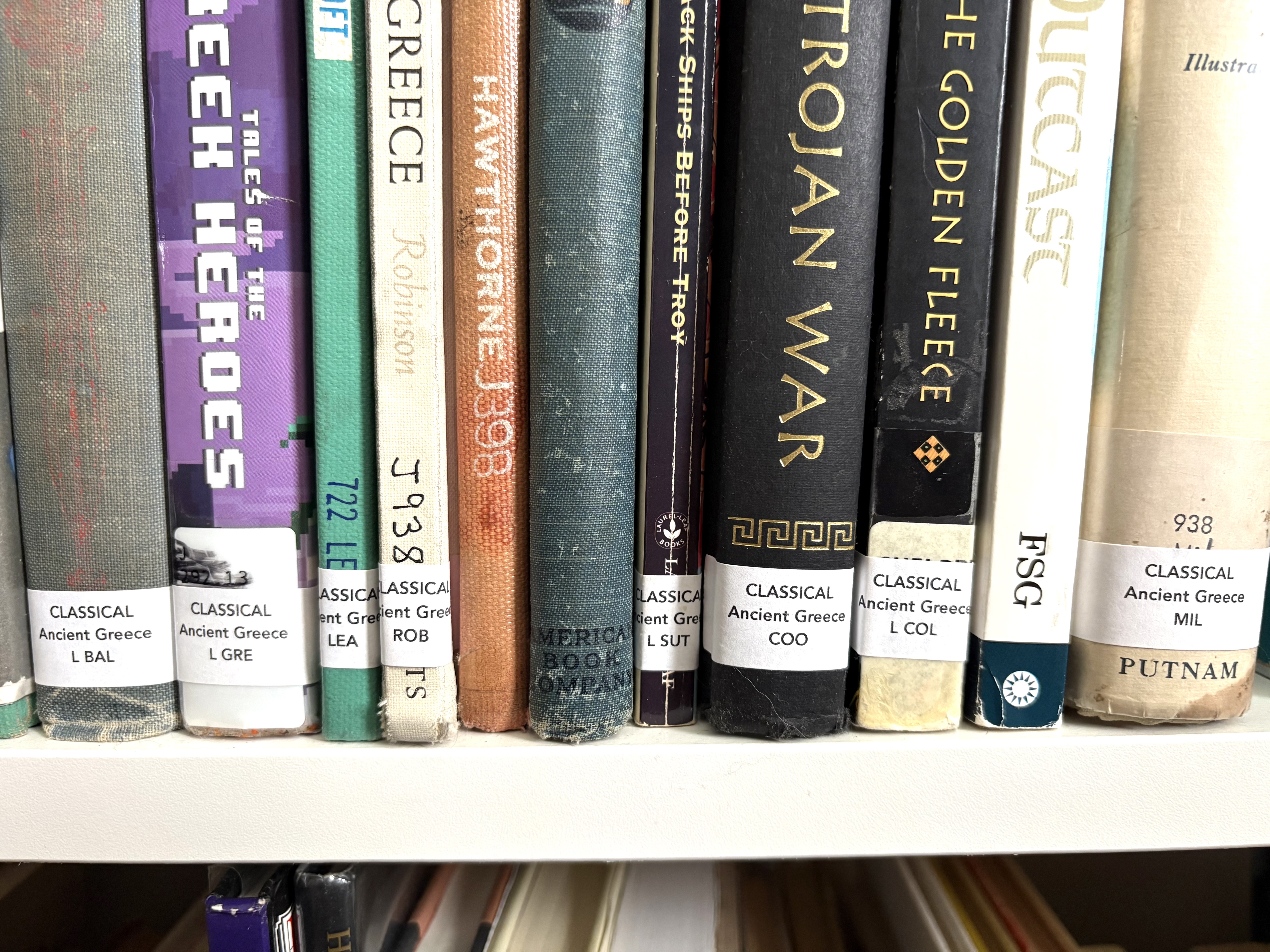 How to Organize and Maintain Your Book Shelves – Lauren Ducommun
