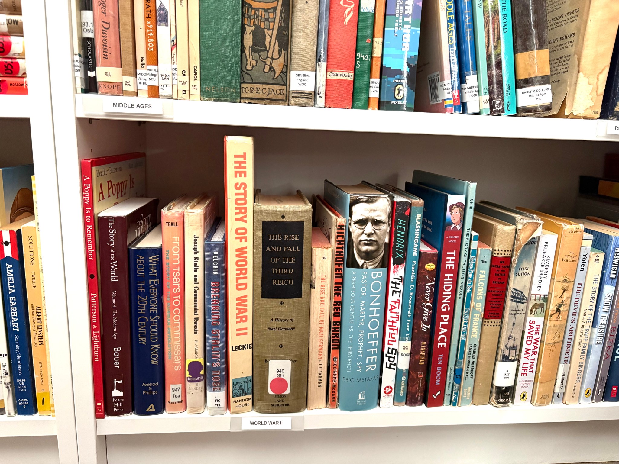 How to Organize and Maintain Your Book Shelves – Lauren Ducommun