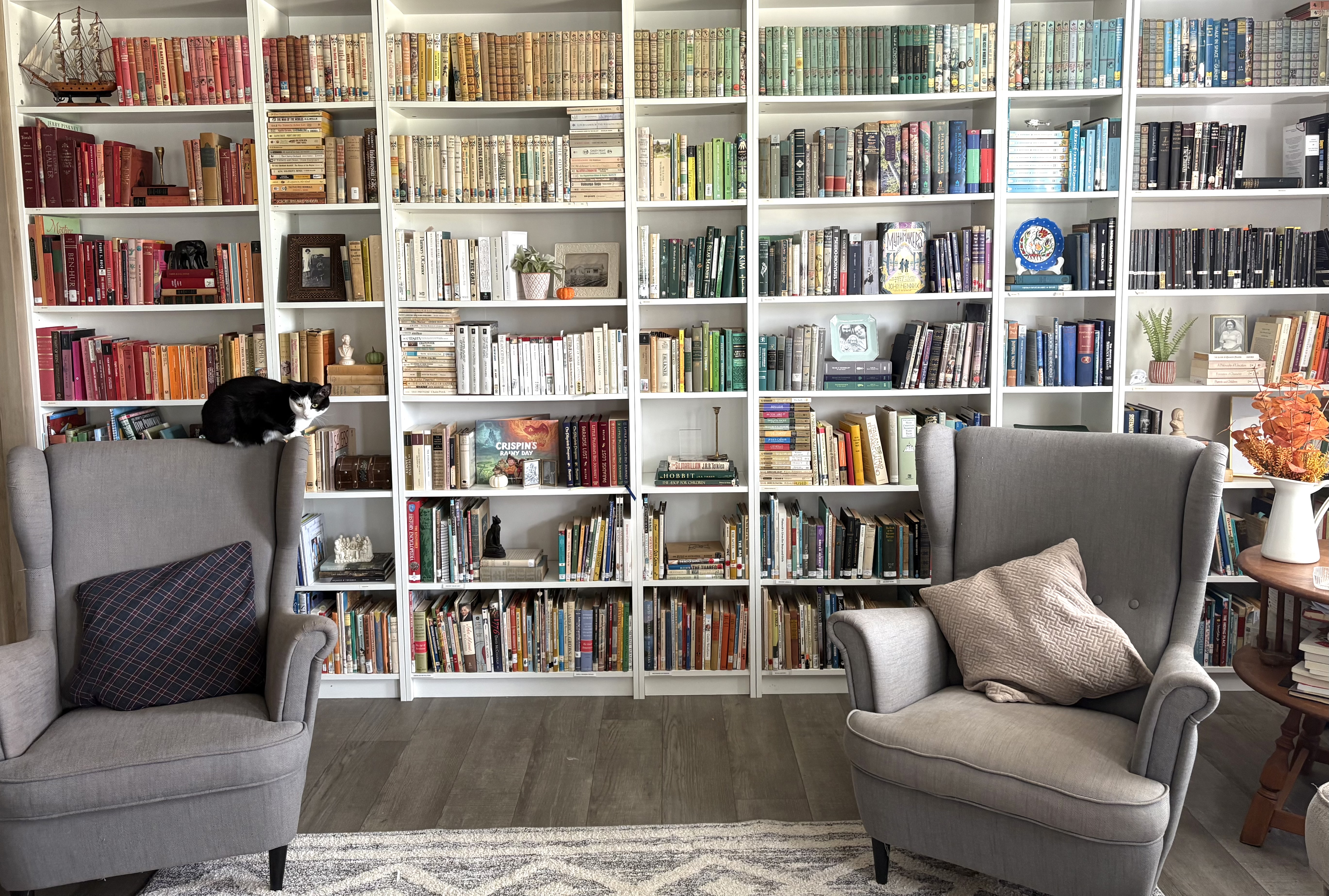 How to Organize and Maintain Your Book Shelves – Lauren Ducommun